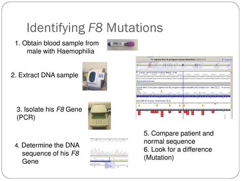 Genetics Of Inherited Bleeding Disorders Ppt Download