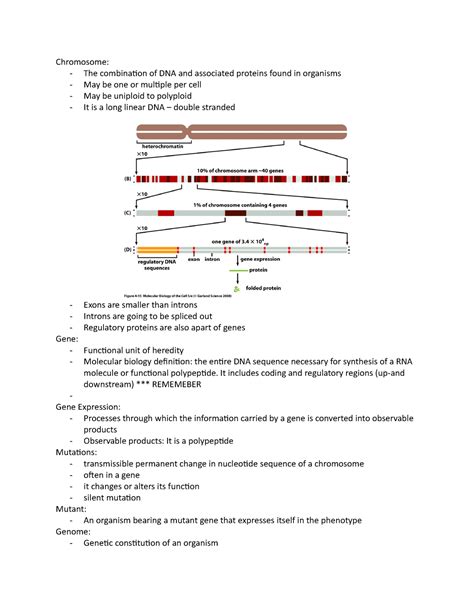 Midterm 1 Biol 308 Lecture Notes 1 2 Chromosome The
