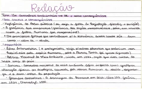 Redação Os Desastres Ambientais No Br E Suas Consequências Redação