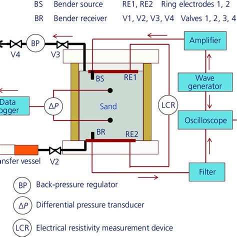 Schematic Diagram Of The Column Experiment Download Scientific Diagram