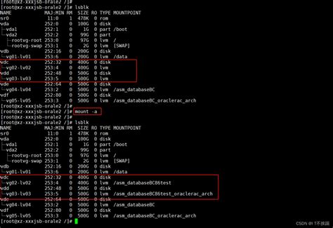 oracle 19c 集群rac安装（基于nfs共享存储） oracle 19c rac安装 csdn博客