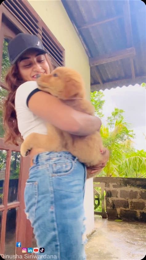 Dinusha Siriwardana මිනිස්සුන්ටත් වඩා සත්තුන්ගේ ආදරේ කොයිතරම් නම් හදවතට දැනෙනවද මේ ලෝකේ පණ