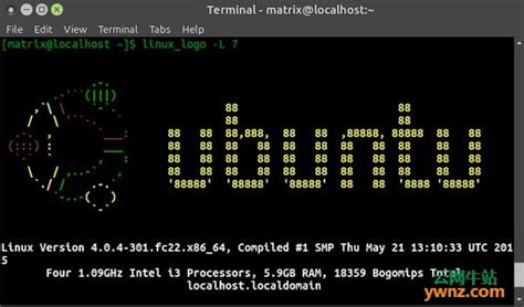 linux终端展示系统信息 在终端里展示linux发行版的logo及系统信息 csdn博客