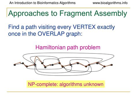 Ppt Graph Algorithms In Bioinformatics Powerpoint Presentation Free Download Id 3306524