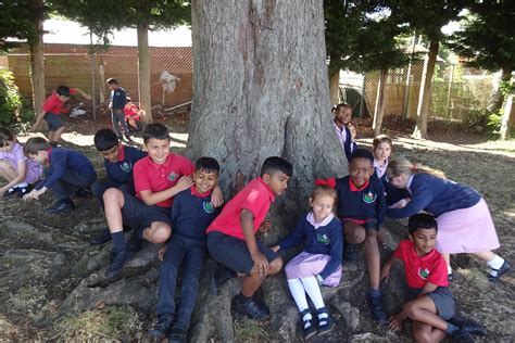 St George S Primary Catholic Voluntary Academy Tree Assembly