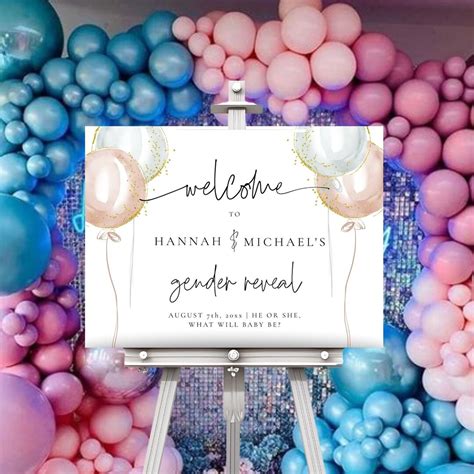 Balloon Gender Reveal Welcome Sign Delicate Pink And Blue Welcome Sign