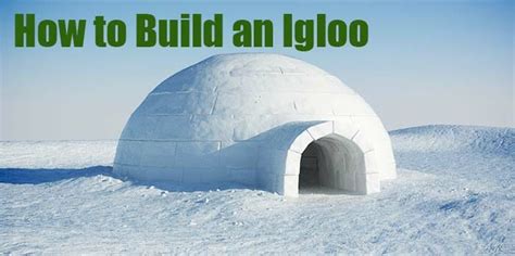 How To Build An Igloo And Look Like A Pro Doing So 2024