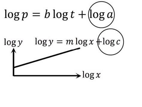 Log Exponential To Linear Graph Teaching Resources