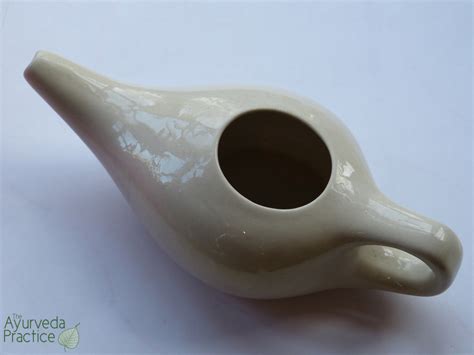 Your Nose Doesnt Have To Welcome Germs Introducing The Neti Pot The Ayurveda Practice