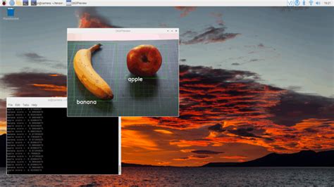 Using The Picamera2 Library With Tensorflow Lite Raspberry Pi