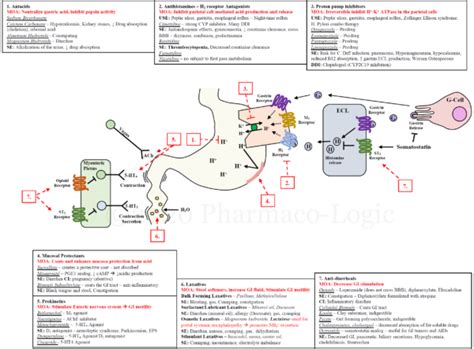 Antacids Laxatives Prokinetics Pharmaco Logic