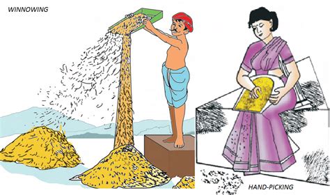 Tnsb 6 Science Separation Of Substances Evidyaloka