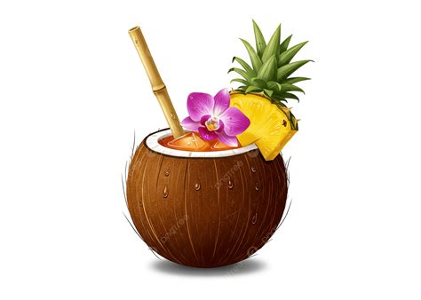 Tropical Coconut Cocktail Illustration Tropical Coconut Drink Coconut