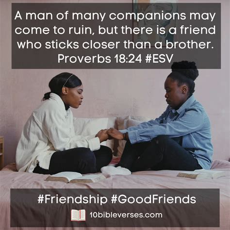 10 Friendship Quotes From The Bible