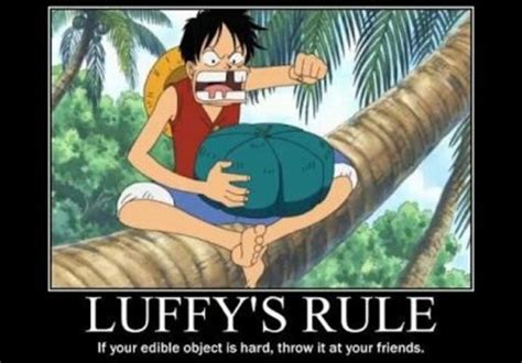Luffy Rule 😂😂😂 One Piece Amino