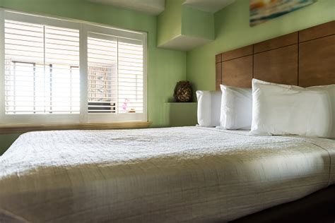 현대적인 호텔 객실의 침대 나무 헤드보드 옆 매트리스에 흰색 베개 시트 이불 이불이 있는 창문에서 자연광이 들어오는 침실 객실 녹색에 대한 스톡 사진 및 기타 이미지