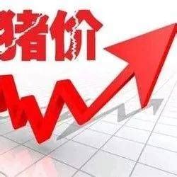 猪市走势猪价涨停破 入 歇菜相关因素分析 生猪 市场 一定的