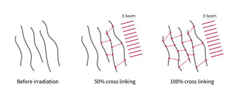 Understanding Different Types Of Crosslinking In Polymers Ebm Machine