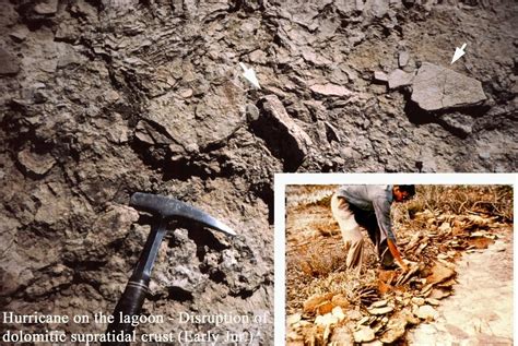 Pdf Dessication Paleosurface Supratidal Zone Top Of Regressive