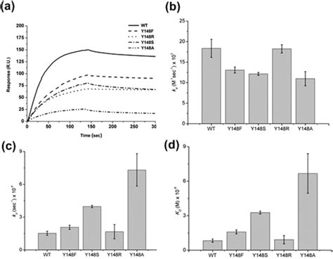 The Surface Plasmon Resonance Traces Form Rna Binding Affinity Assay