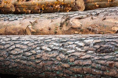 Timber Or Saw Timber Stock Photo Image Of Builder Plank 44872364