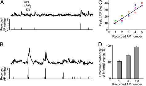 Figure 3 From Spatiotemporal Dynamics Of Functional Clusters Of Neurons In The Mouse Motor