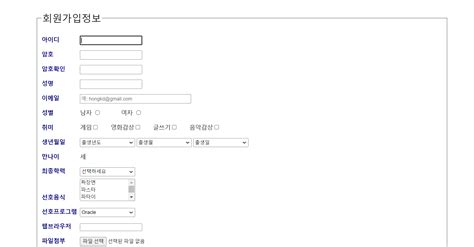 Javascript 정규표현식