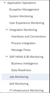 Job Monitoring With SAP Solution Manager Layer Seven Security