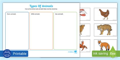 Animal Sorting Activity Types Of Animals Worksheet