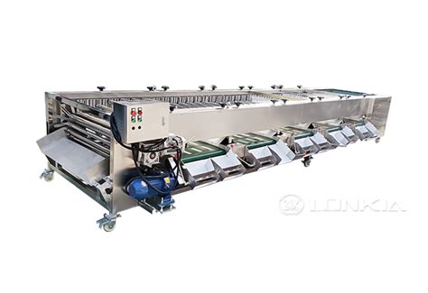 Advanced Carrot Sorting Machine Lonkia Machinery