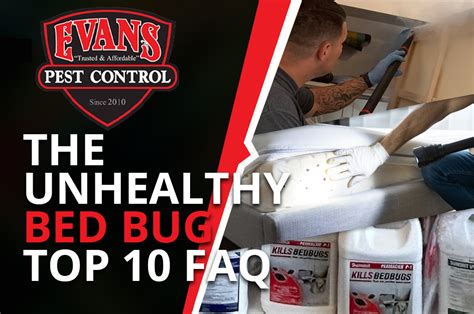 top 10 bed bug questions evans pest control philadelphia s trusted exterminator 267 582 2687