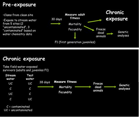 figure figure figure figure 2 2 2 2 download scientific diagram