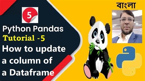 Python Pandas Tutorial 5 : How to update a column of a Dataframe ...