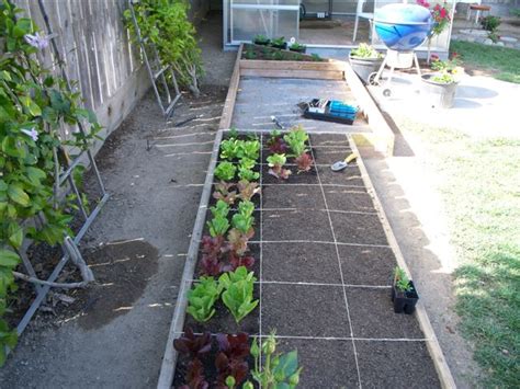 Gardening With The Gragstons Danas Gopher Proof Garden Expansion