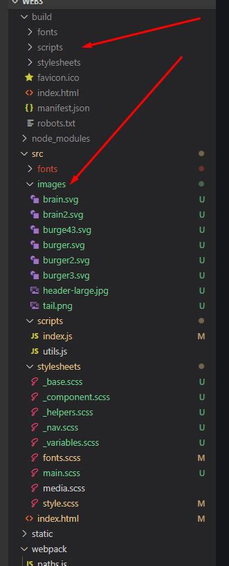 webpack 4 fileloader not moving images stack overflow