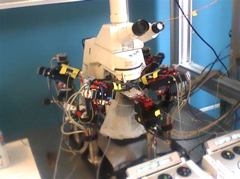 3 The Patch Clamp Recording Setup Left The Microscope With Four
