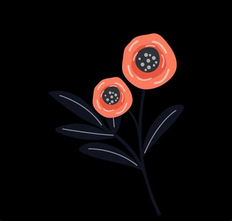 How To Use Intimate Wash Benefits Of Intimate Vaginal Wash And More