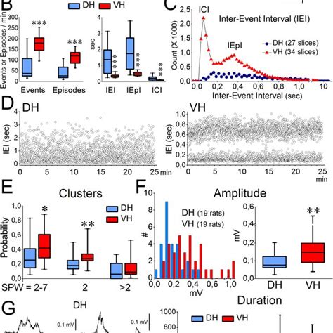 Pdf Prominent Differences In Sharp Wave Ripples And Complex Spike