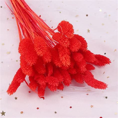 Hidden Botanics | Hidden Botanics Online kuru çiçek Mağazası