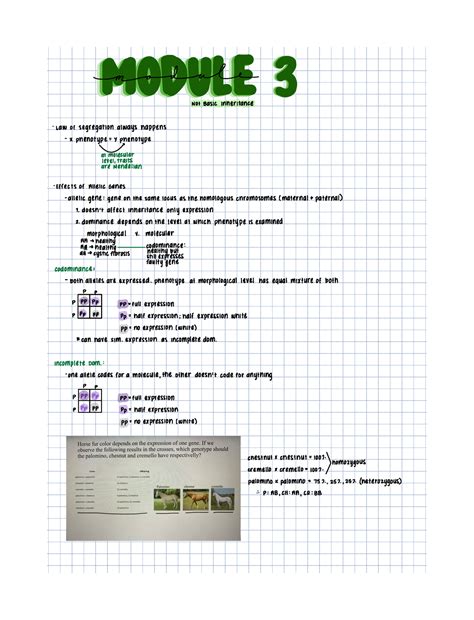 Module 3 Notes Pp Dultn 333 Notbasicinheritance