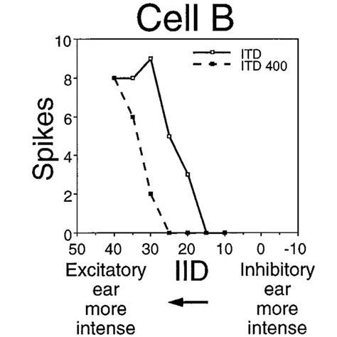 Different Effects Of Delaying Or Advancing The Signals To Inhibitory