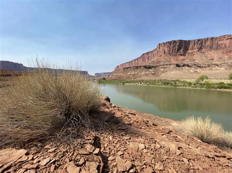 Encompassed Life Facebook