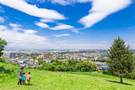 Support Epson Crystal Device