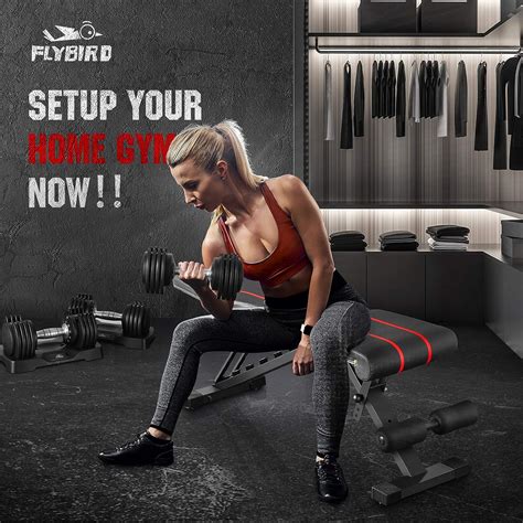 Flybird Adjustable Bench Review Fitness Gear Trail