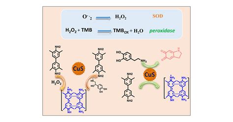 Label Free Detection Of Epinephrine Using Flower Like Biomimetic Cus