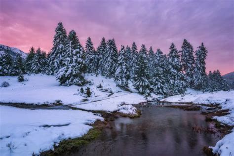 Закат в морозных Нидерландах · бесплатная фотография