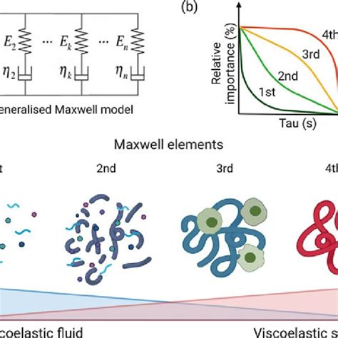Mathematical Modelling Hydrogel Viscoelasticity Where A Shows The
