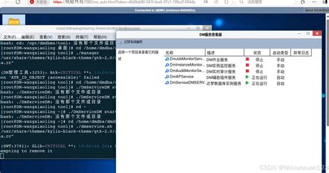 如何在虚拟机上使用达梦数据库管理工具dm管理工具创建实例、模式和表以及解析达梦数据库的功能模块 Csdn博客
