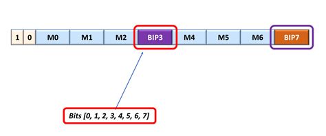 Meaning Of The Numerals Within The BIP Bit Columns Of Our IEEE Table Sierra Hardware