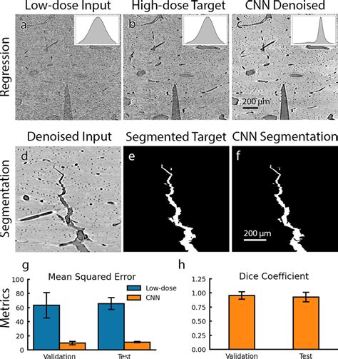 the cnn successfully denoised and segmented srμct images acquired with